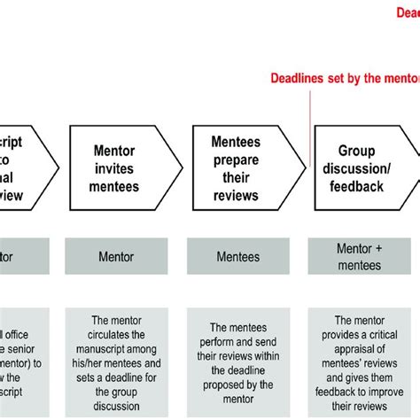 Flow Chart Of The Steps In The Emeunet Peer Review Mentoring Program