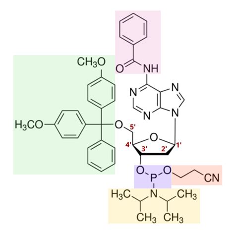 Dna Chemistry
