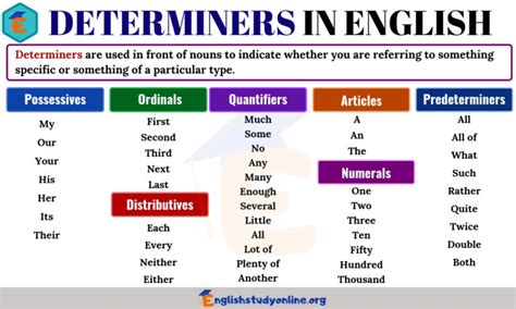 Determiners Definition Useful List And Examples In English English