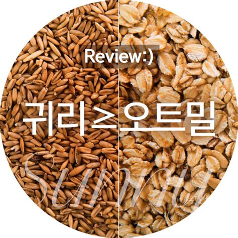 귀리 오트밀 칼로리 귀리 효능과 먹는법과 차이 네이버 블로그