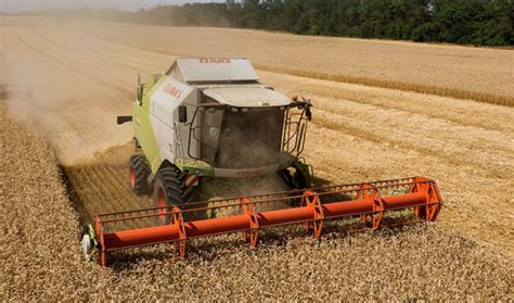 КФХ Стародубец Клинцовского района Брянской области