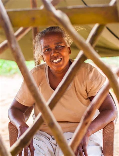 Custom Python Software And Web Development Services Net Solutions