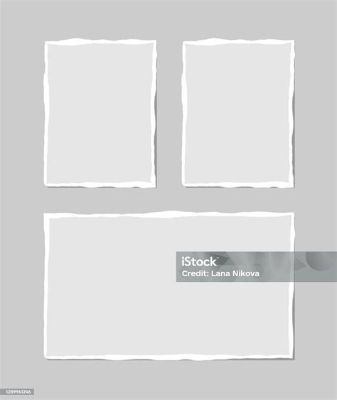 찢어진 흰색 노트 세트 회색 배경에 고립 된 다양한 모양의 찢어진 종이 조각 벡터 그림입니다 0명에 대한 스톡 벡터 아트 및 기타 이미지 Istock