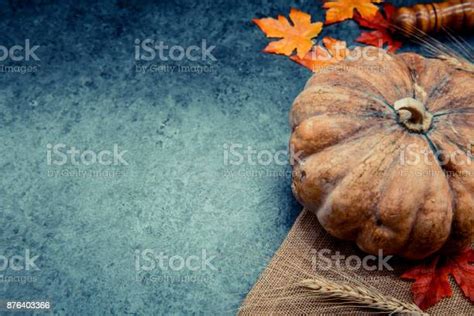 가 시즌에 나무에 야채와 과일 추수 감사절 배경 텍스트에 대 한 공간을 복사 합니다 11월에 대한 스톡 사진 및 기타 이미지 11월 Blessing 가을 Istock