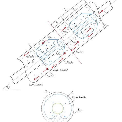 Schematic Diagram Of Slug Flow Velocity And Force Analysis In The Download Scientific Diagram