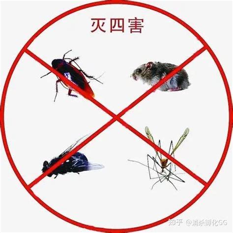四害消杀四害如何消杀蟑螂消杀消杀是什么意思 知乎
