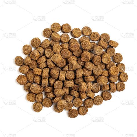 猫和狗干粮孤立在白色背景俯视图