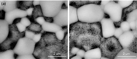 Microstructures Of The Reduced A Bcy Ni Gdc And B Bcyb Ni Gdc Download Scientific