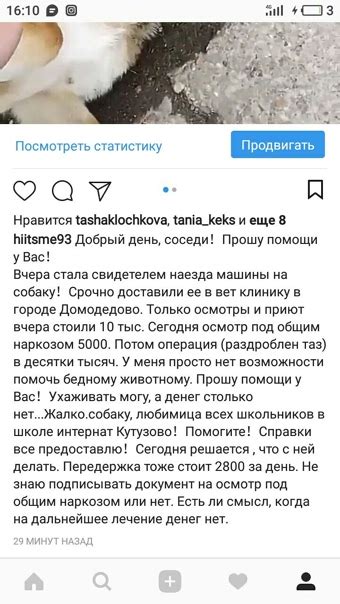 Помогите！ Лапы и Сердца Домодедово ВКонтакте