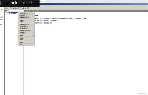 dhcp部署与安全 dhcp租约 csdn博客