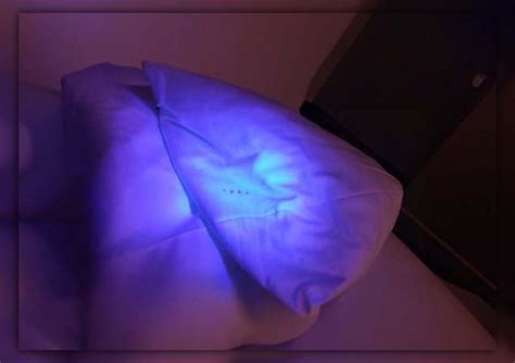 Uv Light And Bed Bugs A Solution To Detecting Bed Bug