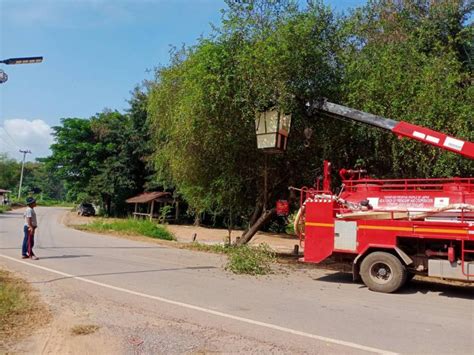 เจ้าหน้าที่องค์การบริหารส่วนตำบลทุ่งหัวช้าง ลงพื้นที่ตัดหญ้าตัดกิ่งไม้บริเวณข้างทางทั้งสองข้าง