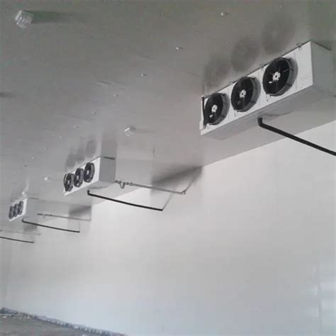 Walk In Chiller Cold Room Container Cold Room Storage Industrial Refrigerator Cold Room And