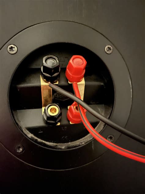 Why Bi Amp An Rf 25 Floor Speaker And What Do You Connect It To On The