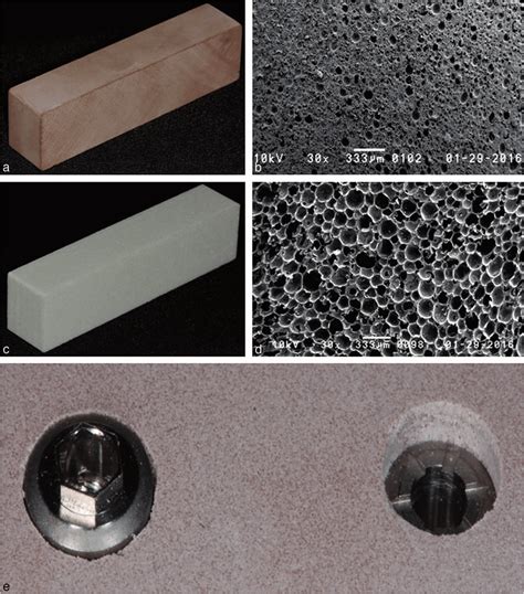 A The Polyurethane Block With A Density Similar To Type I Human Bone Download Scientific