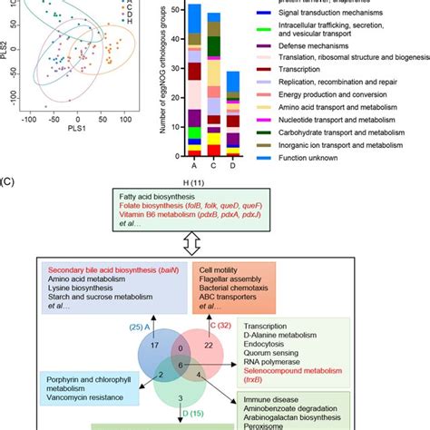 Microbial Functional Pathways Enriched In Covid‐19‐related And Control