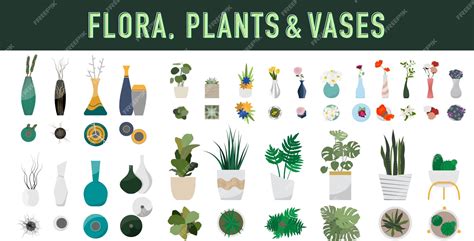 Premium Vector Flora Plants And Vases Set In Both Plan And Elevation
