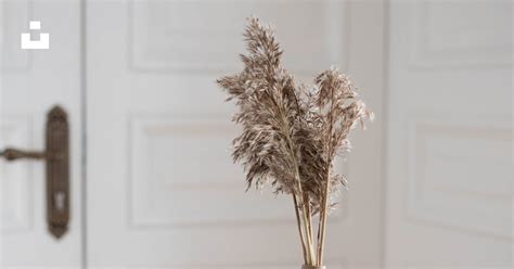 테이블에 앉아 말린 꽃이 든 꽃병 사진 Unsplash의 무료 꽃병 이미지