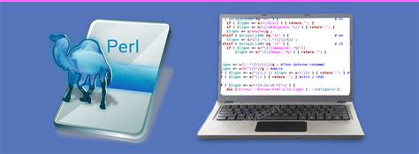 Get Professional Perl Assignment Help From Bookmyessay Experts