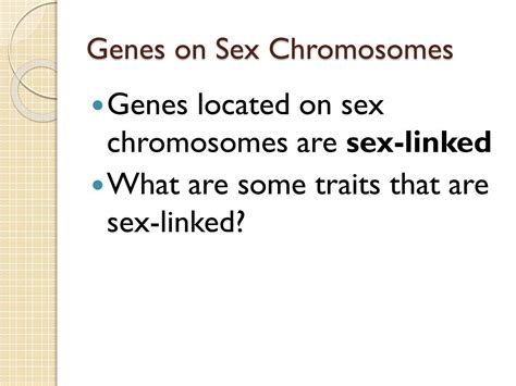 Ppt Sex Chromosomes Powerpoint Presentation Free Download Id3063531