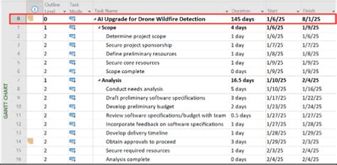Display The Project Summary Task