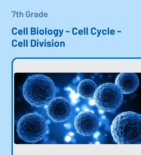 Mitosis And The Cell Cycle Lessons Kindergarten To 12th Grade