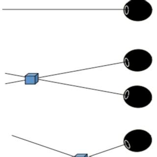 The Ames Room Demonstration False Linear Perspective Created By The