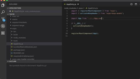 Unable To Resolve App From Nodemodulesexpoappentryjs · Issue 183 · Geekyantsvue