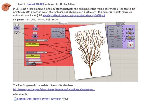 How To Create This Organic Pattern Grasshopper Mcneel Forum