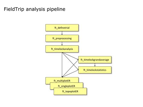 spectral source connectivity and network analysis of eeg and meg