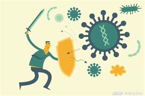 被推翻的免疫认识，免疫细胞竟占器官细胞四分之一 澎湃号·湃客 澎湃新闻 The Paper