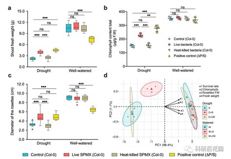 R可视化——箱线图绘制及显著性标记 哔哩哔哩