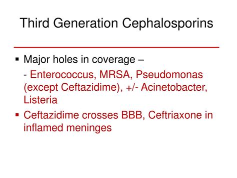 Ppt Antibiotics 101 Powerpoint Presentation Free Download Id4373458