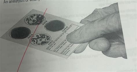 Review Flashcards Quizlet