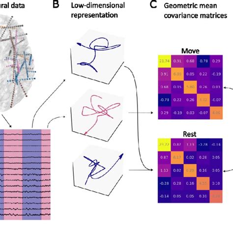 Difference Between Motor Adaptation And Motor Skill Learning A In Download Scientific