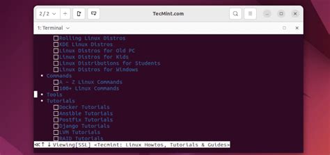 Cli Tools For Downloading Files And Browsing Internet