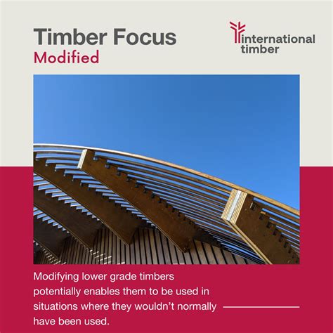 Modifiedtimber Innovativesolution Timberconstruction Sustainability