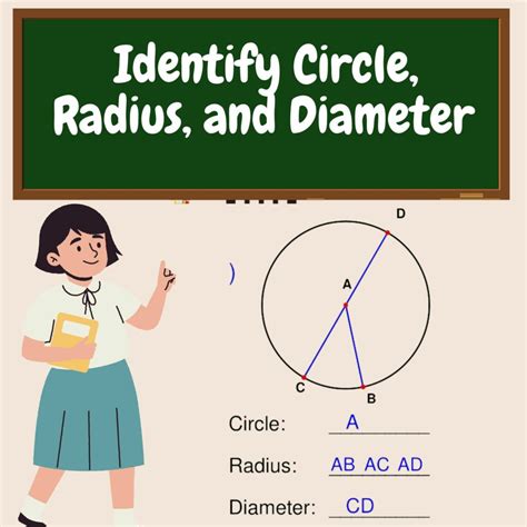 Finding Radius And Diameter Of A Circle