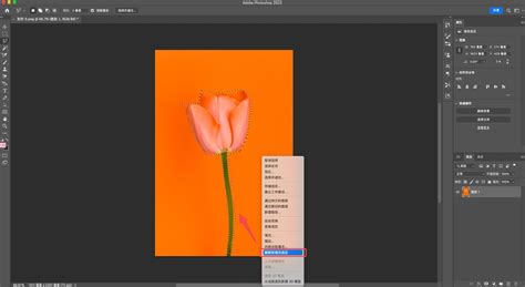 photoshop哪个版本好Photoshop 2023真的很绝 即时设计