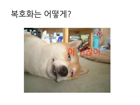 Rdp Packet Analysis 삽질기 Basic Level 1 Pdf