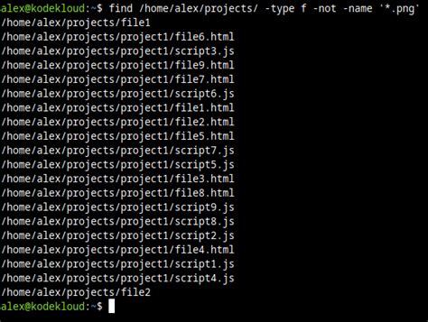 Linux Find File By Name