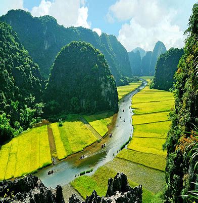All Embracing View Of Rice Field In Tam Coc