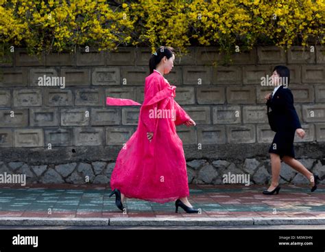 North Korean Culture Dress Wanted To Feel A Bit North Korean Near The
