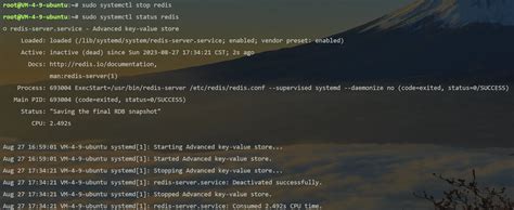 Ubuntu 安装 Redis 并配置远程连接 惜寞的无人小间