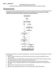 BIO Male And Female Reproductive System ANSWER KEY Class Activity Spring Pdf NAME