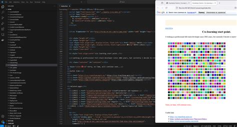 Viacheslav Eremin Js Future Conspectus