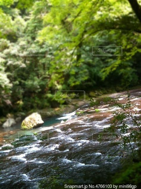 森を流れる川の写真・画像素材 4766103 Snapmart（スナップマート）
