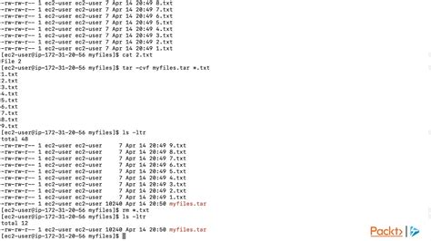 Dockerization Do More With Docker Using The Add Command Packtpub