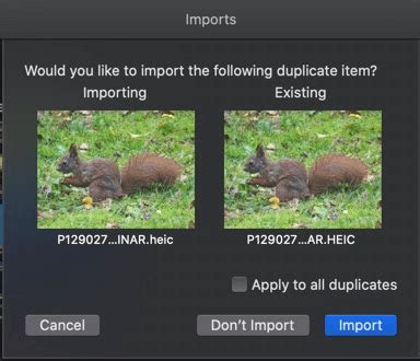 Top 3 Apps To Find And Remove Duplicate Photos In Mac Photo Library