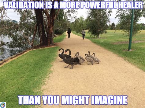 Validation Memes And S Imgflip